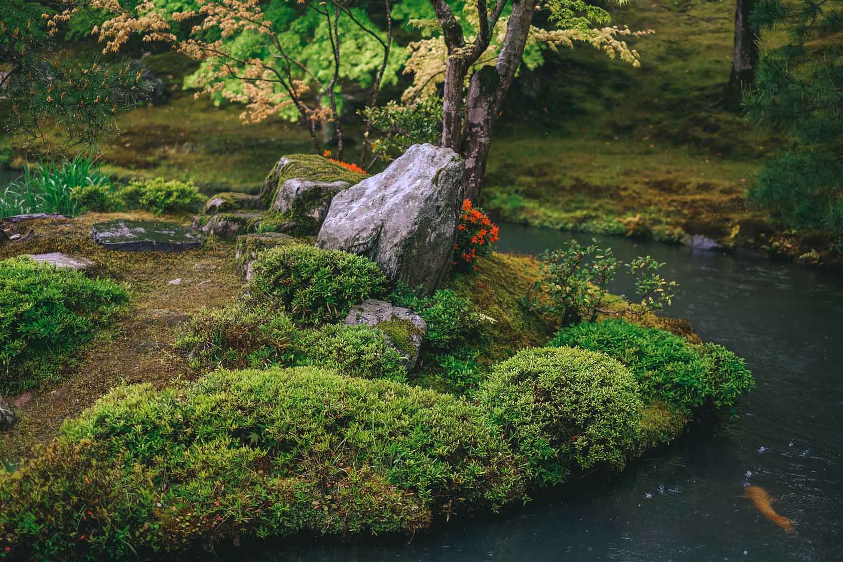 A super efficient itinerary for Kyoto, Japan | Not a Nomad Blog