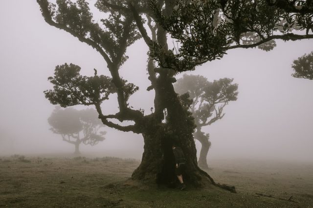 38 Amazing Things to Do in Madeira (2021)